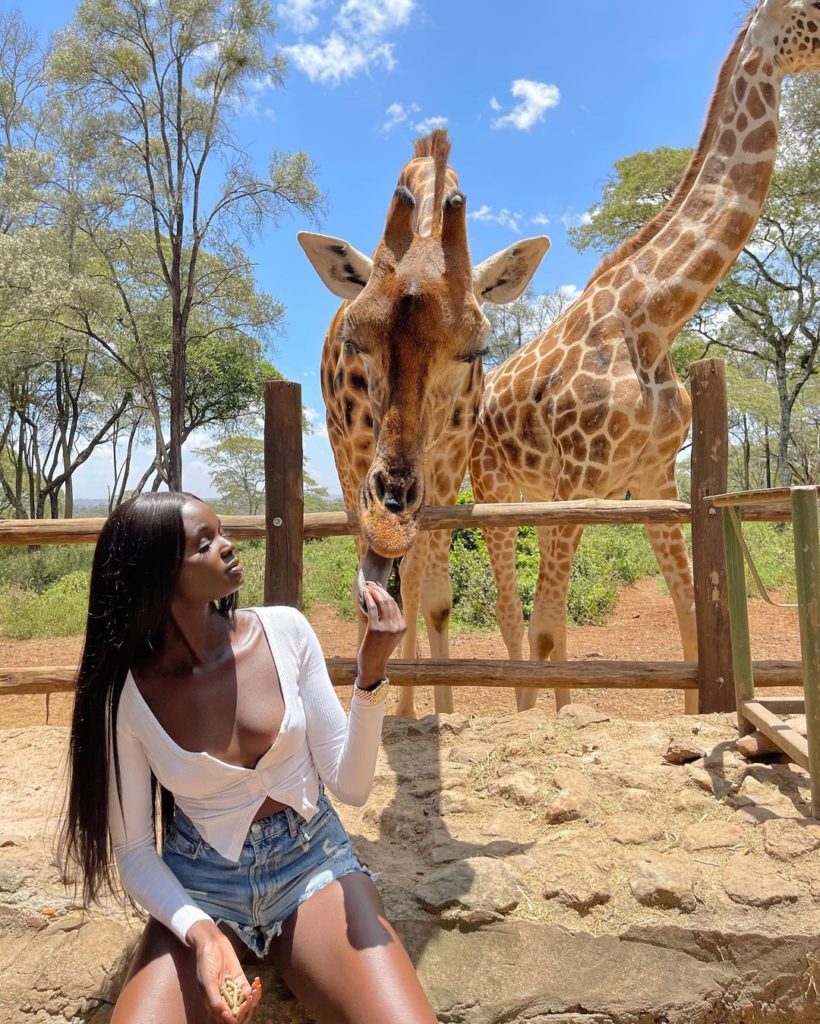 Not Sure Where Your Next Trip Should Be According To Duckie Thot Kenya Is The Answer Bn Style