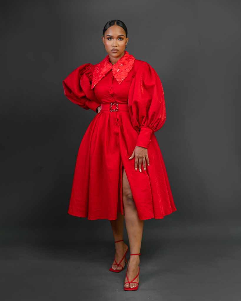 These Showstopper Dresses from PiiLLz N PoiZn are What Red Carpet Looks ...